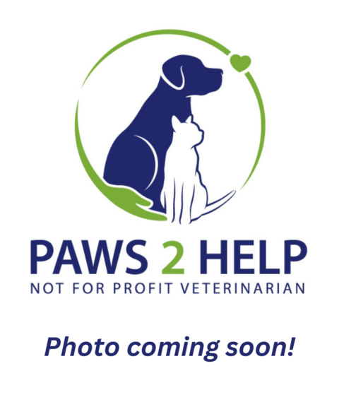About Paws 2 Help | Vet In West Palm Beach, FL 33406