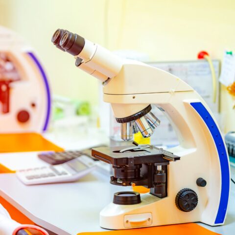 West Palm Beach, FL 33406 Veterinary Services | Paws 2 Help